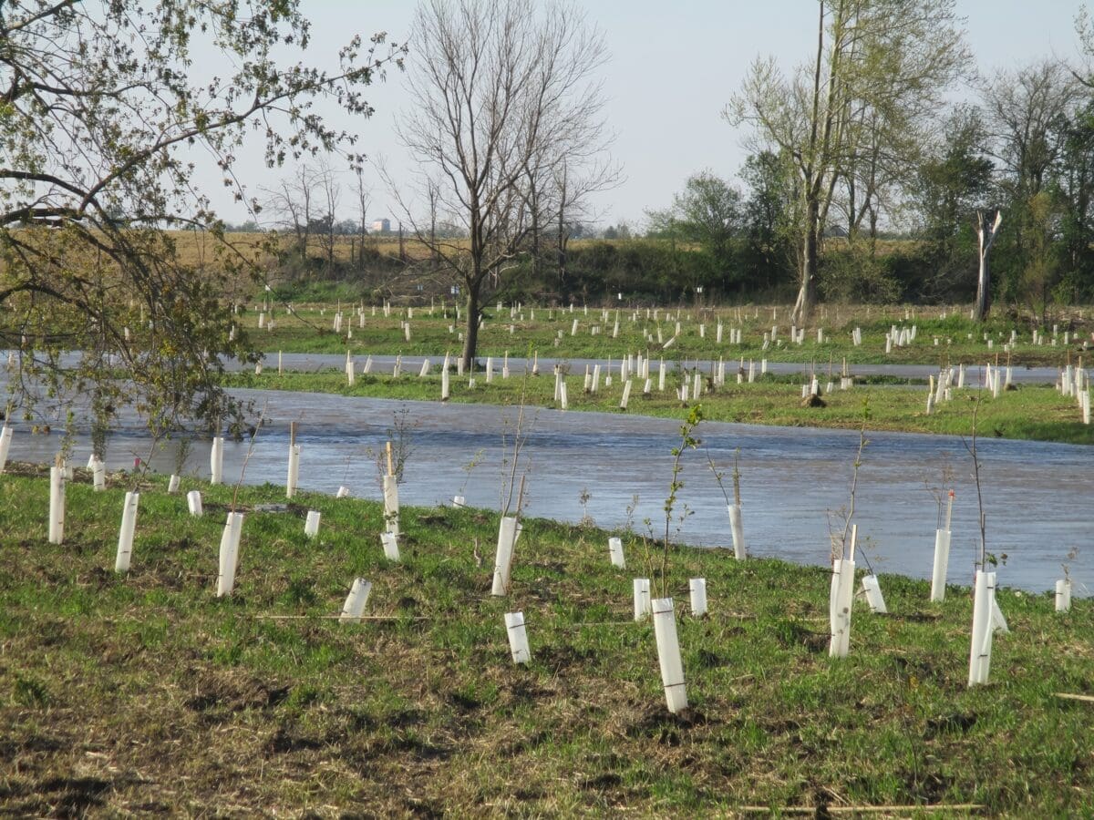 Billinger Stream Stabilization | V3 Companies