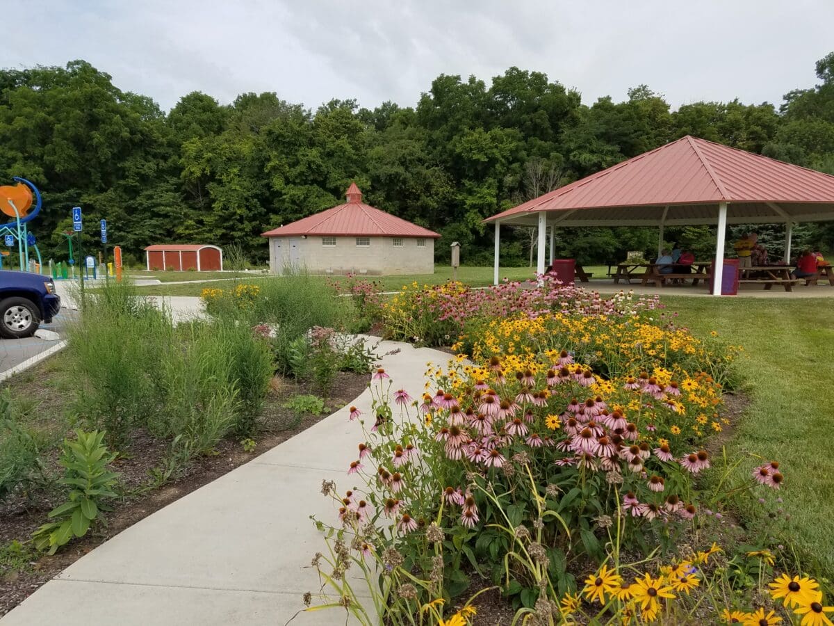 What are Nature-Based Solutions in Landscape Architecture? | V3 Companies