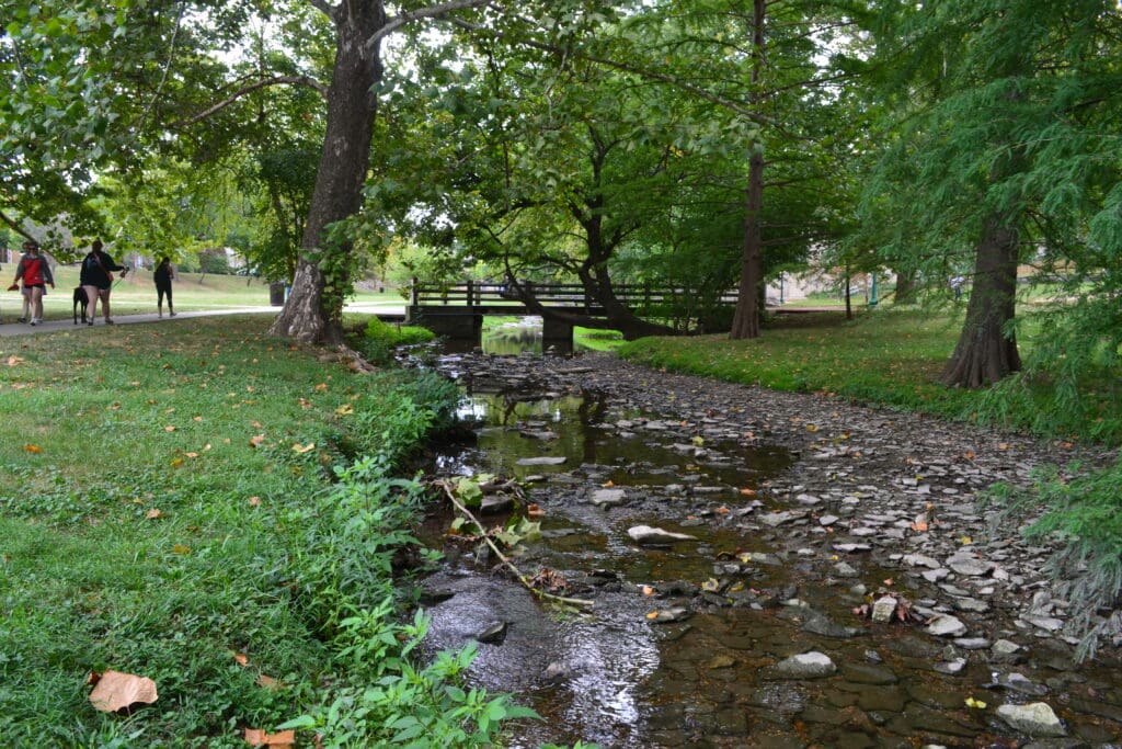 Indiana University Campus River Restoration | V3 Companies