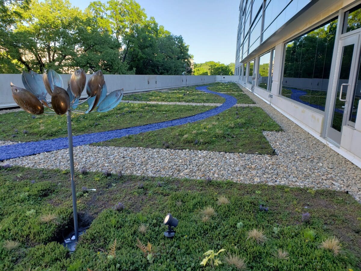 Levine Cancer Institute Expansion | V3 Companies