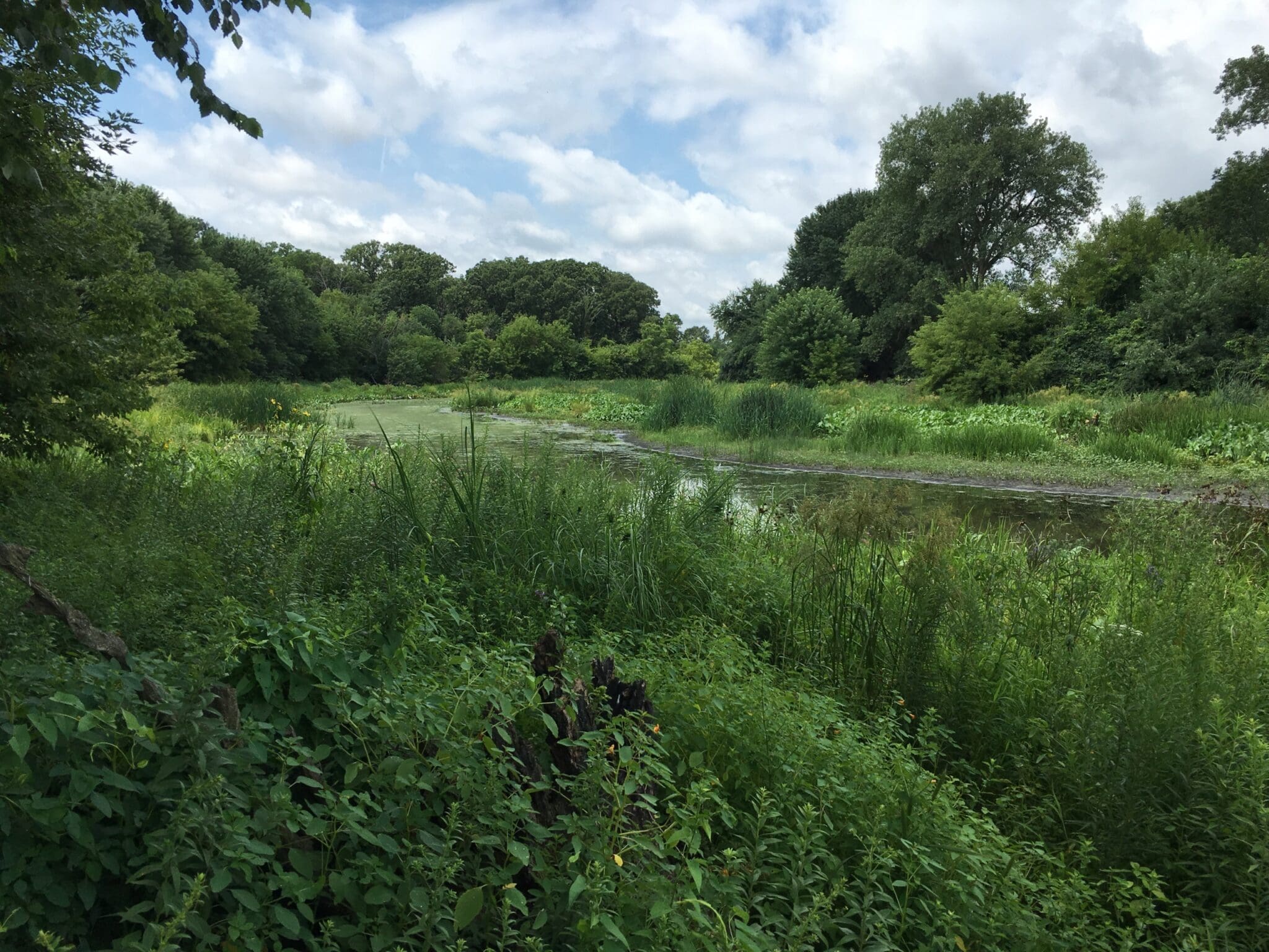 *NEW* Replacement of Clean Water Rules Defined | V3 Companies