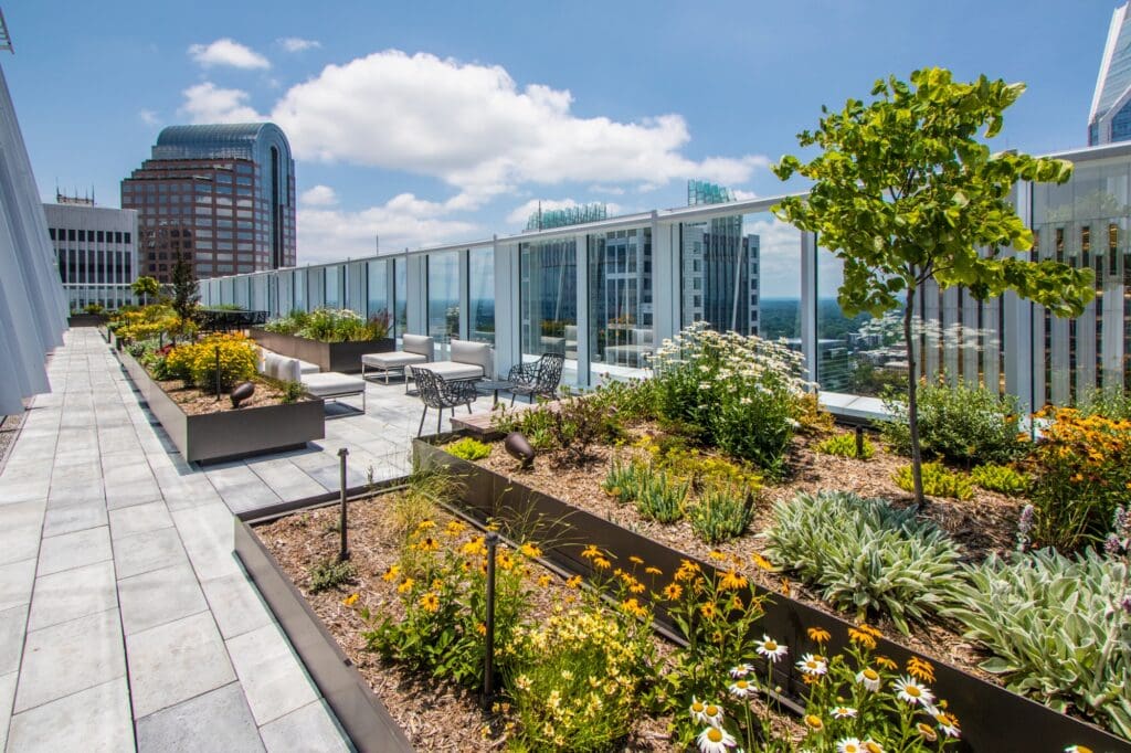 300 S. Tryon Outdoor Terrace Garden | V3 Companies