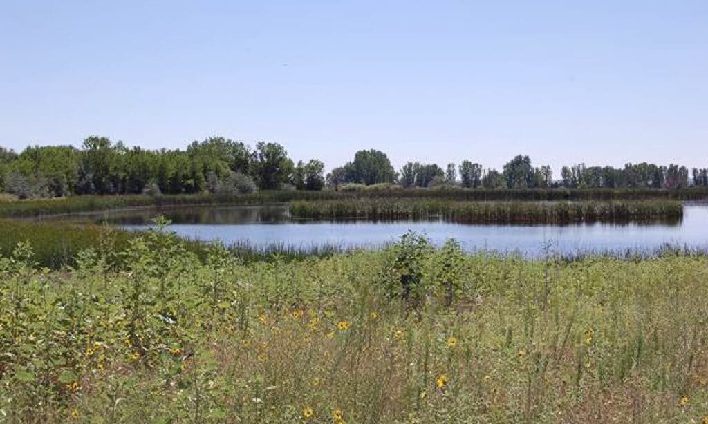 Andrick Ponds Stormwater Analysis Control Project | V3 Companies