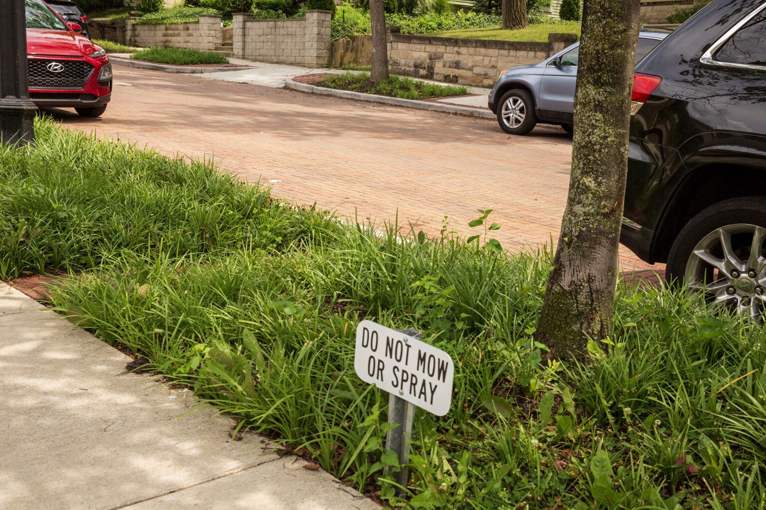 North Street Reconstruction & Integrated Stormwater Management | V3 ...