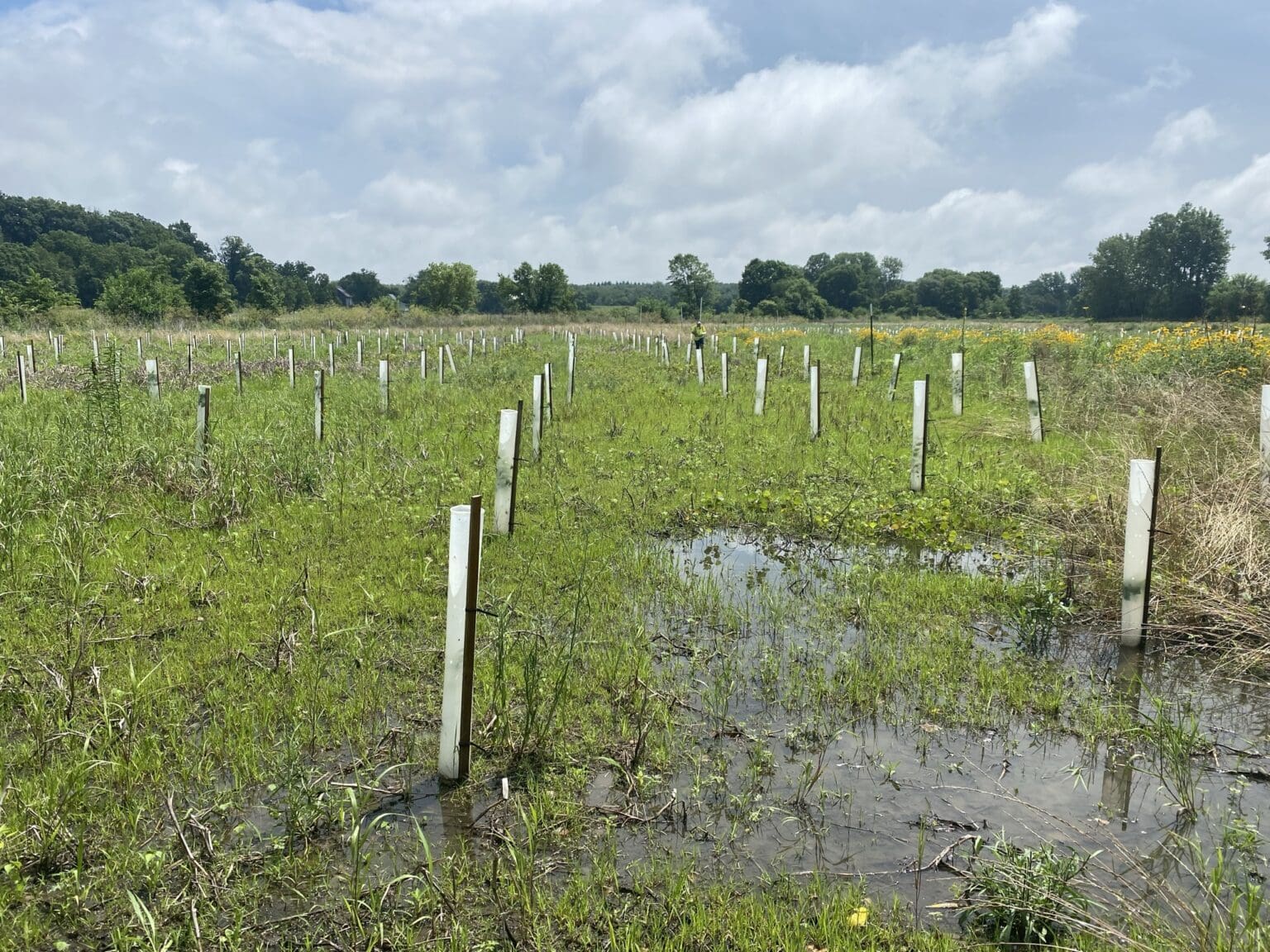 The Vision to Transform with Excellence | V3 Companies